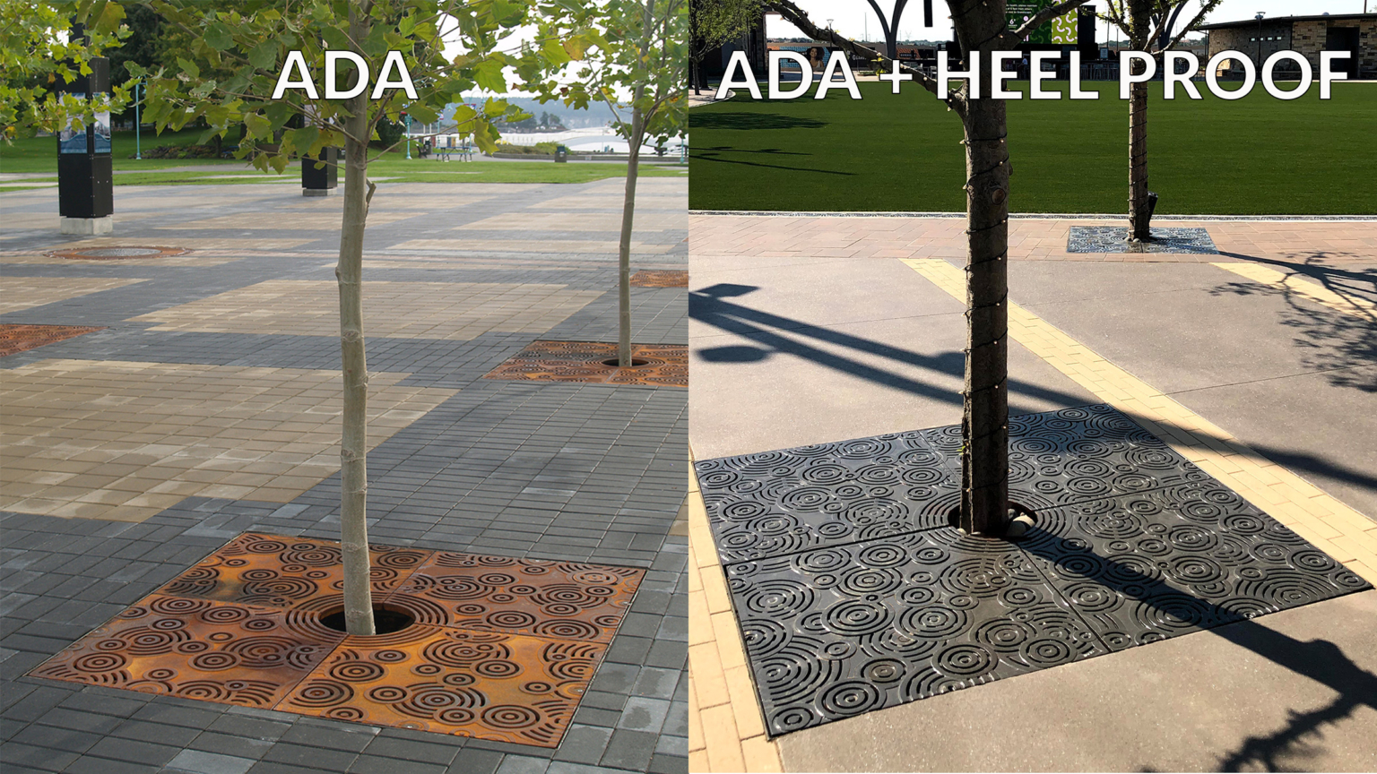 How to Specify Tree Grates - Iron Age Designs