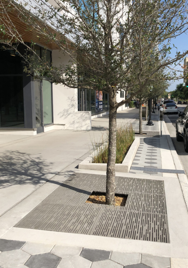 How to Specify Tree Grates - Iron Age Designs